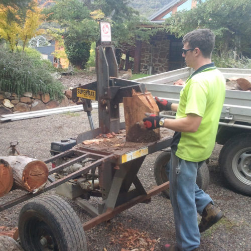 Tree Removal Lopping Shaping Pruning and stump grinding